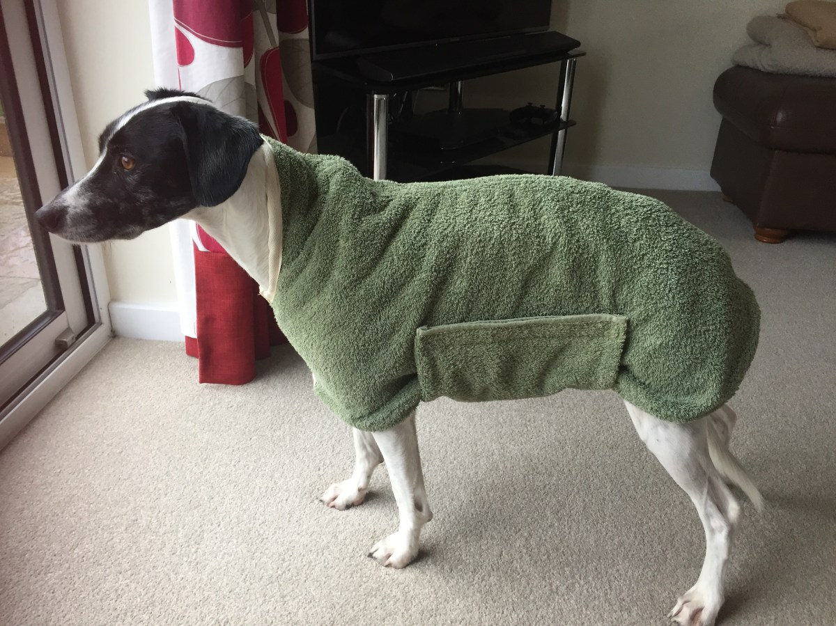 Jay Dog’s Dressing Gown – Jay Dog Designs